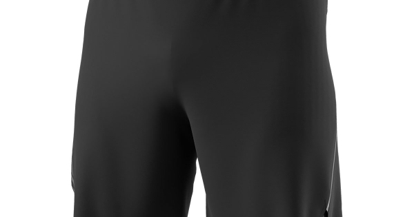 Dynafit - ALPINE PRO 2 IN 1 SHORTS (08-71642 0911)